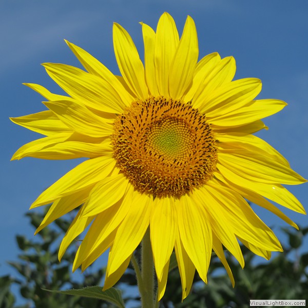 Our Center in Fort Collins Colorado - Narconon Colorado